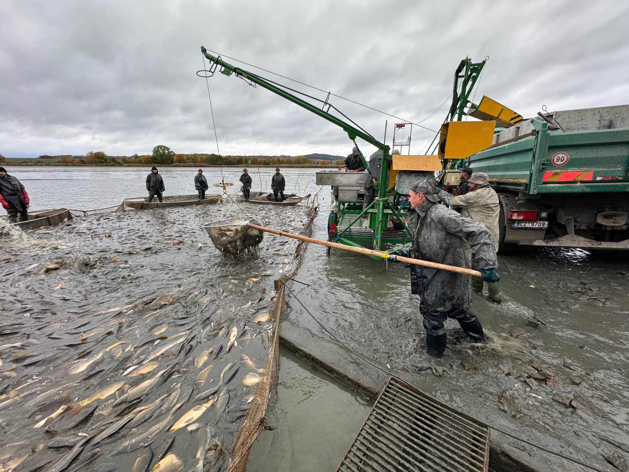 Do Orlíka vysazen kapr, lín, štika, okoun, bílá ryba